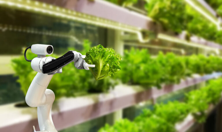 Find out what agriculture will look like in 2050! - China