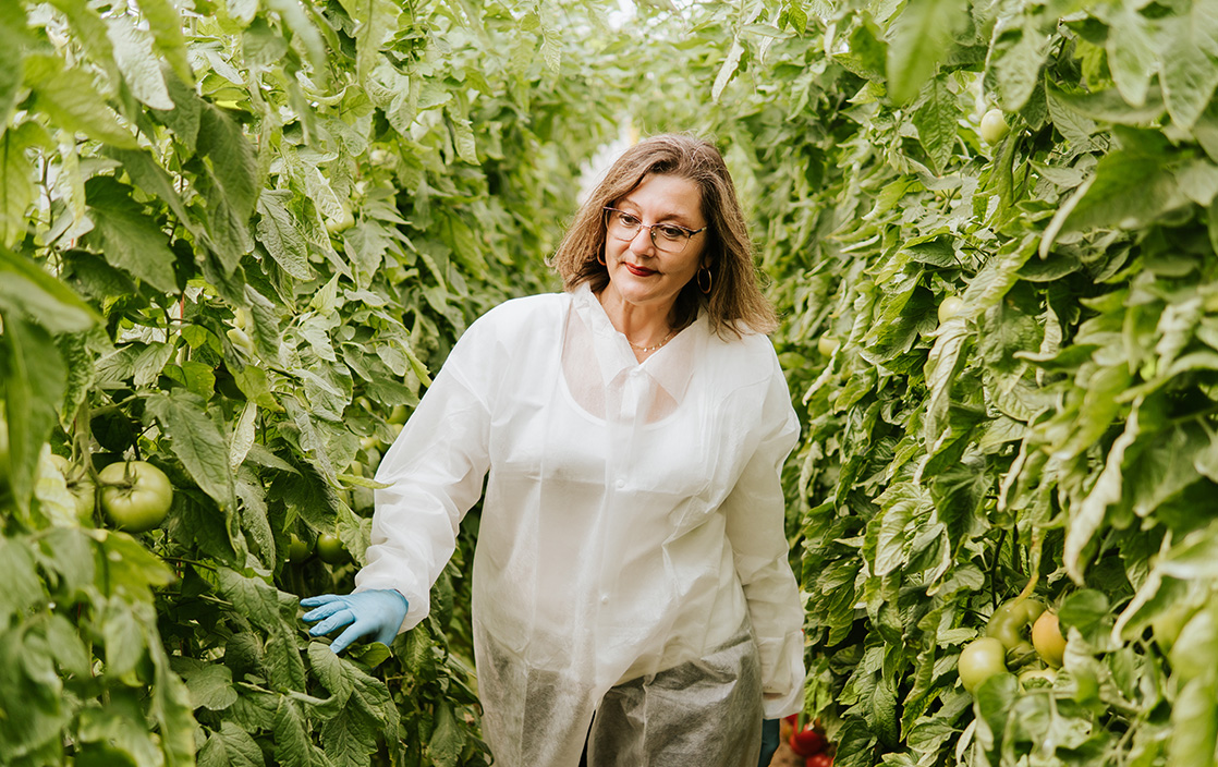 Hazera's Brand Story: Through Clara’s Eyes - China